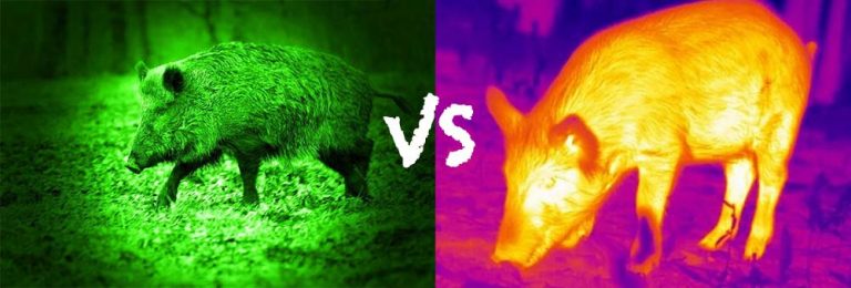 Infrared vs Thermal Night Vision? - Thermal Inspection